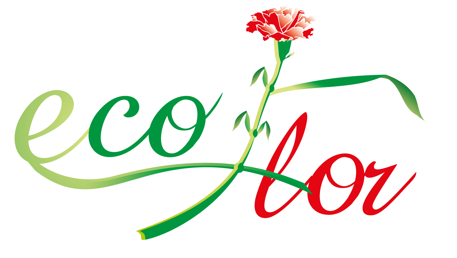 Live flowers and plants | Colombian B2B Marketplace