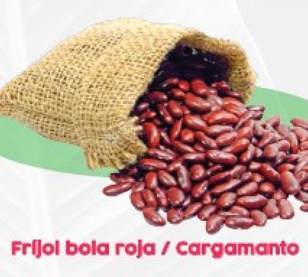 Fríjol bola roja / Cargamanto | GREEN GROUND| Colombian B2B Marketplace