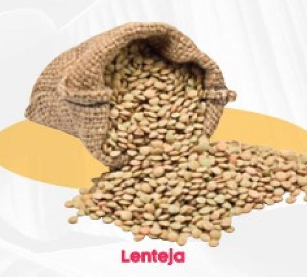 Lenteja | GREEN GROUND| Colombian B2B Marketplace