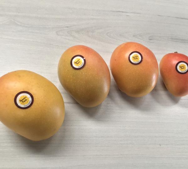 Baby Mango | Heaven's Fruits| Colombian B2B Marketplace