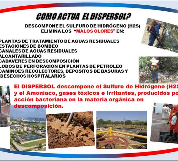 DISPERSOL | JULIAN BUSTILLO SAS| Colombian B2B Marketplace