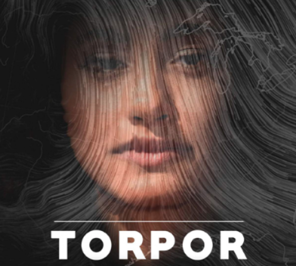 TORPOR | kosmology| Colombian B2B Marketplace