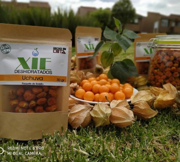 Uchuva deshidratada | Xie-Deshidratados| Colombian B2B Marketplace