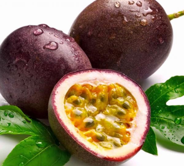 GULUPA | EXPORT & TRADING | Colombian B2B Marketplace