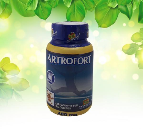 Artrofort | Laboratorios Natures Blend de Colombia Ltda C.I.| Colombian ...