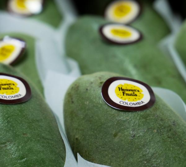 Curuba | Heaven's Fruits| Colombian B2B Marketplace