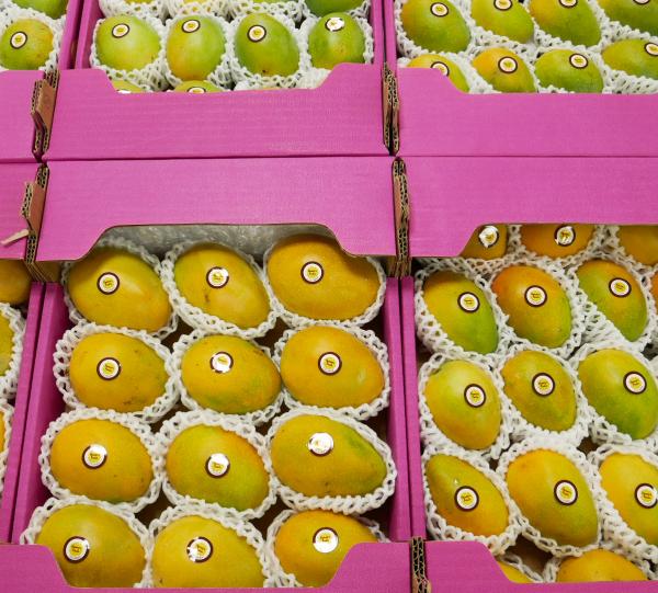 Baby Mango | Heaven's Fruits| Colombian B2B Marketplace