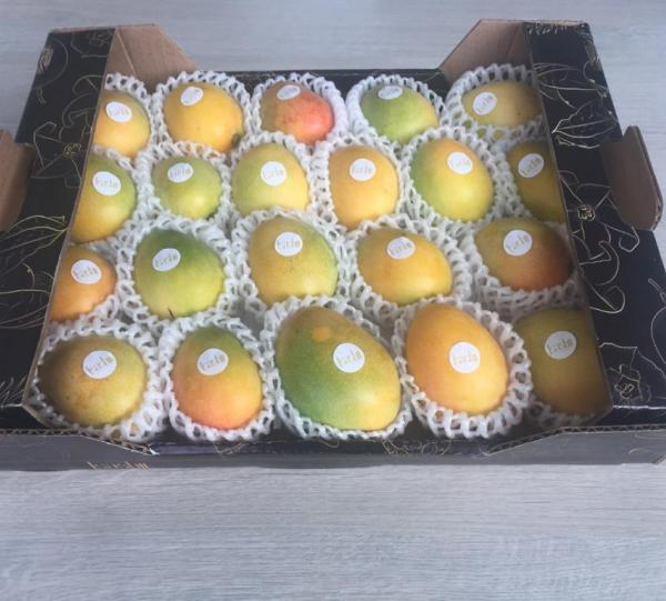 SUGAR MANGO | ISASHII S.A.S.| Colombian B2B Marketplace