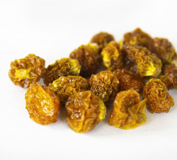 Uchuva deshidratada | Sweet Fruits SAS| Colombian B2B Marketplace