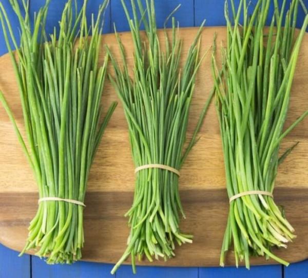 Chyves | Aromáticas de los Andes| Colombian B2B Marketplace